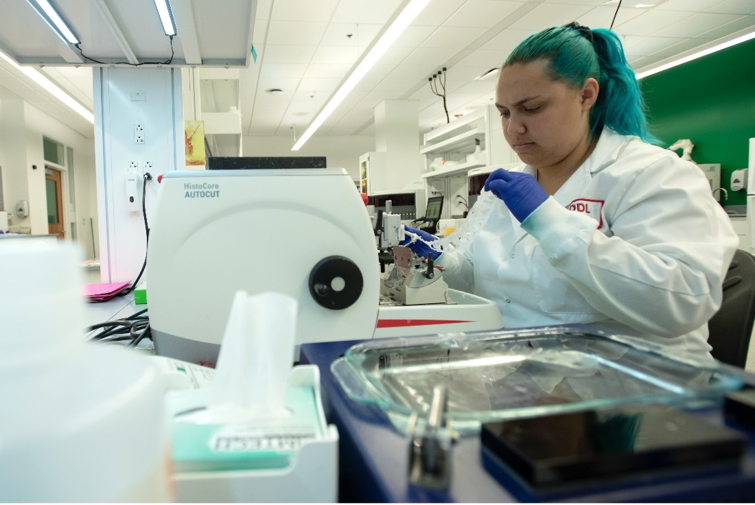 New options for Aquatic Histopathology testing | Washington Animal ...