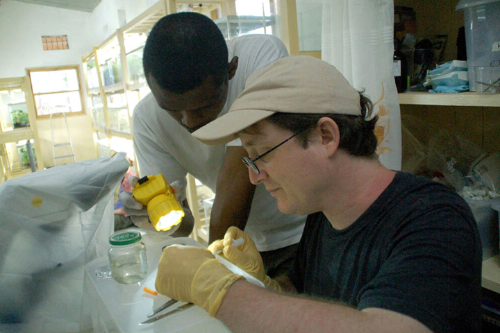 WSU pathologist to receive award for amphibian and reptile conservation ...