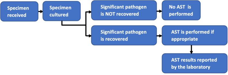 Antimicrobial Susceptibility Testing | Washington Animal Disease ...