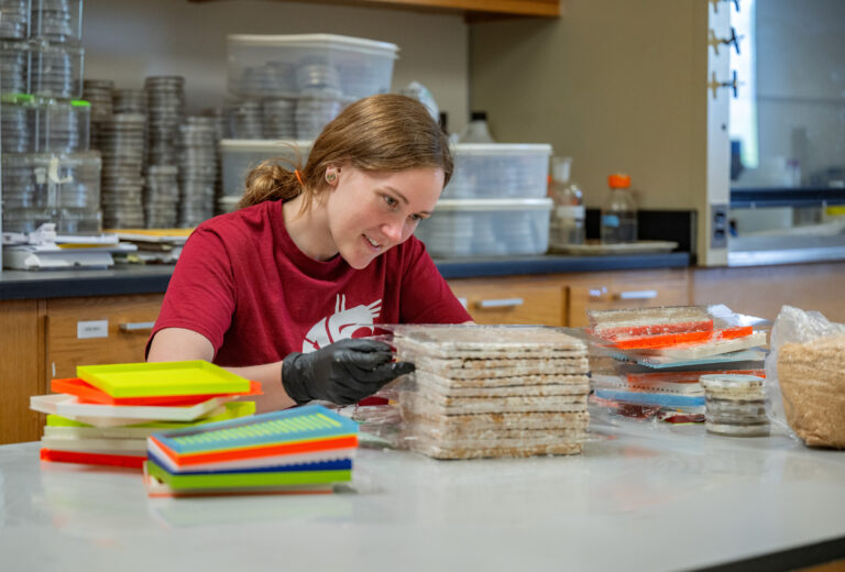 Bioengineering | Gene and Linda Voiland School of Chemical Engineering ...
