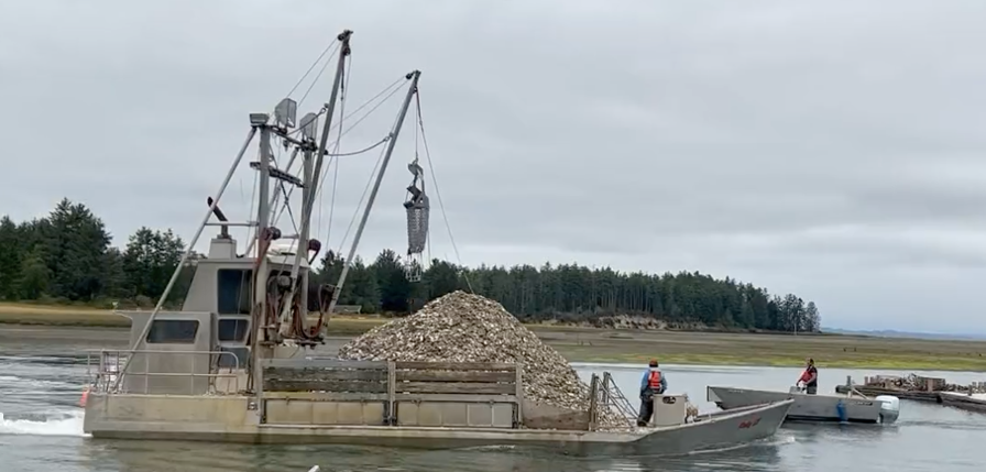 WSU Long Beach Field Trip: Tackling threats to shellfish habitat and ...