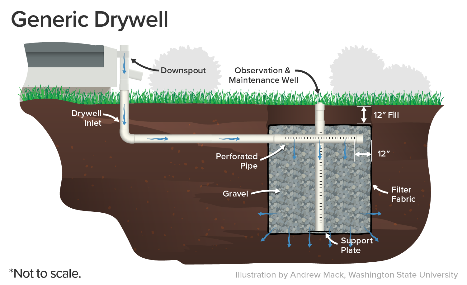 Detaining water | Rural Stormwater Solutions | Washington State University