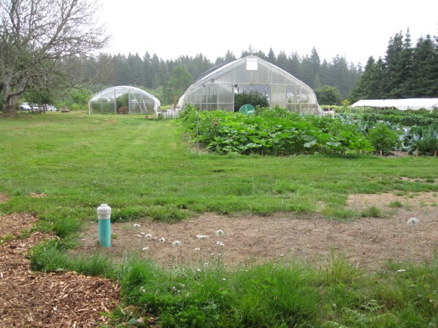 Building a Gravel Infiltration Trench | Rural Stormwater Solutions ...