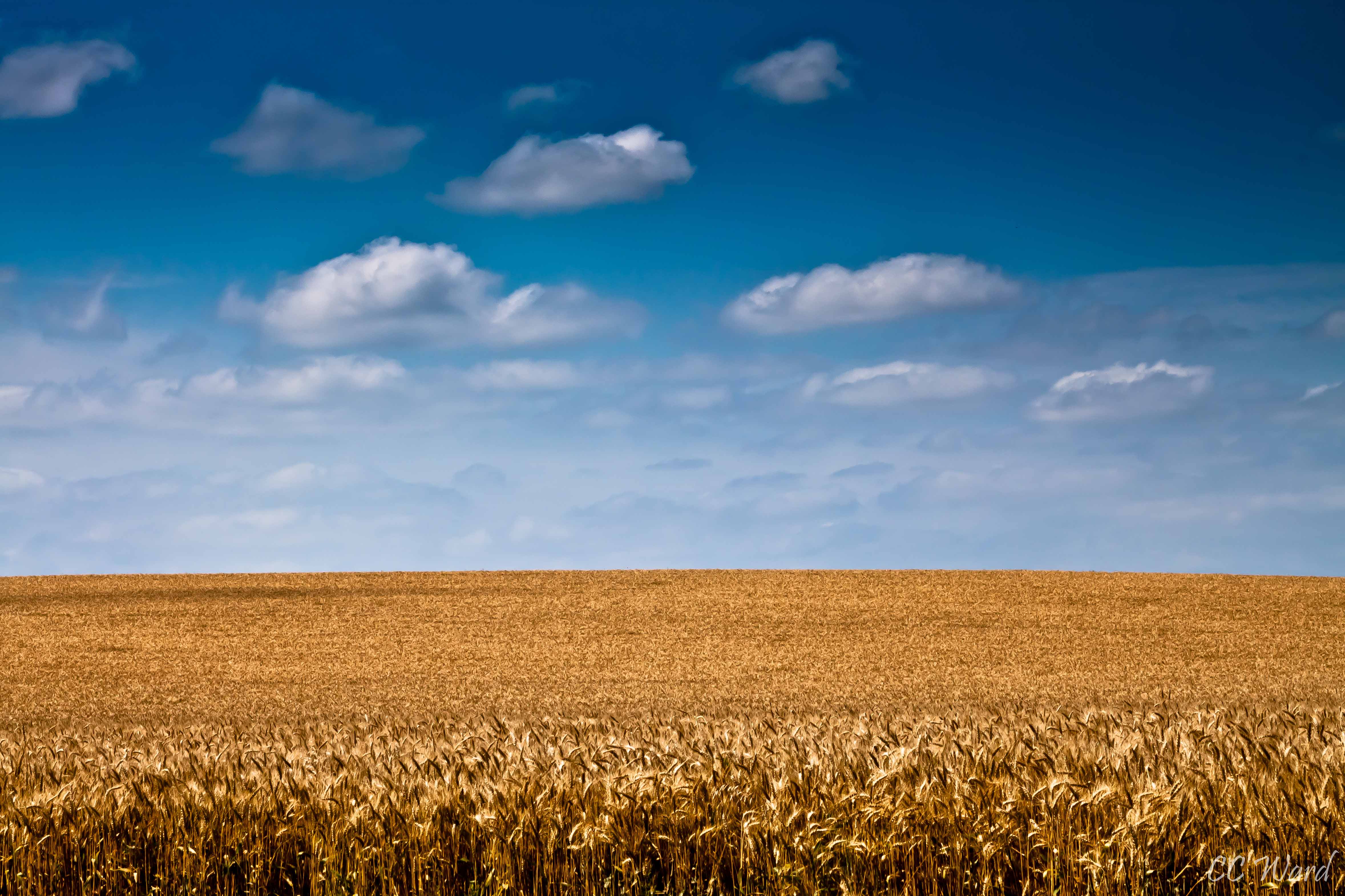 Introducing students to the Palouse - CEREO