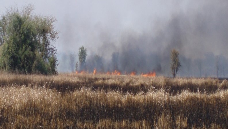 Research Projects - CEREO