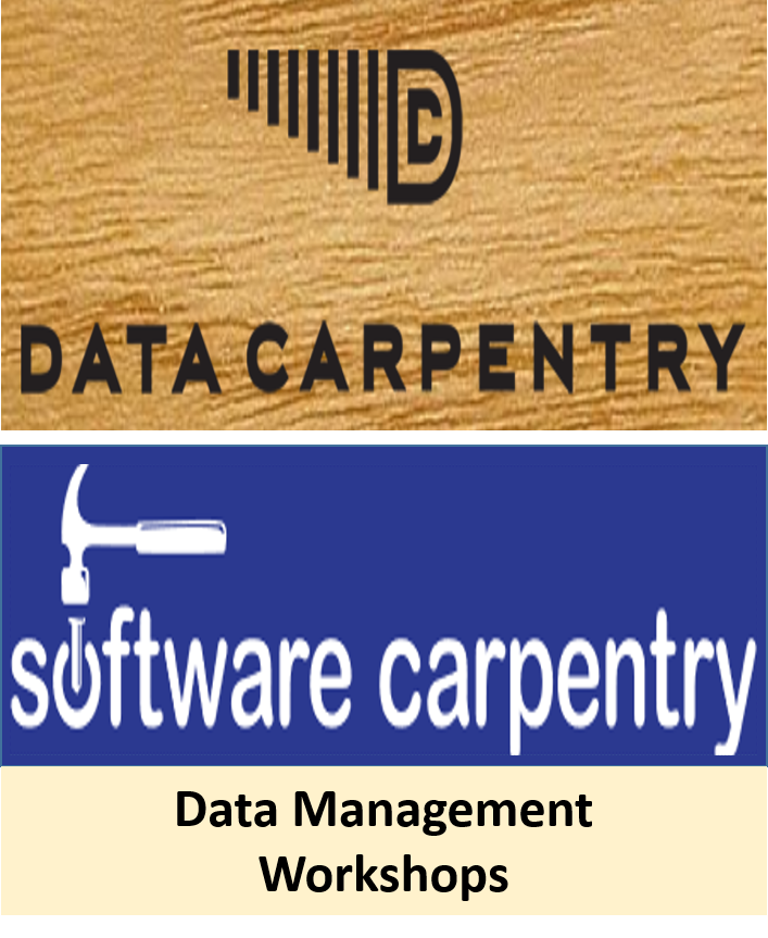 Educational Projects - CEREO