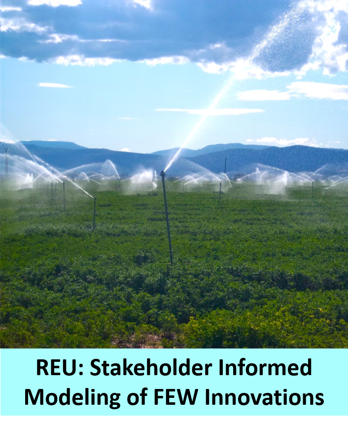 Previous Projects - CEREO