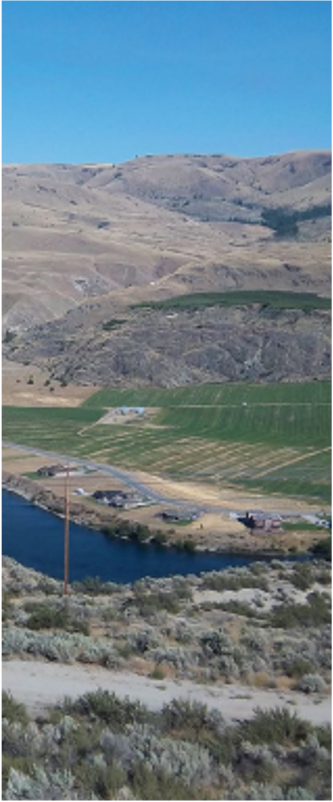 REU: Stakeholder Informed Modeling of Innovations in the FEW - CEREO