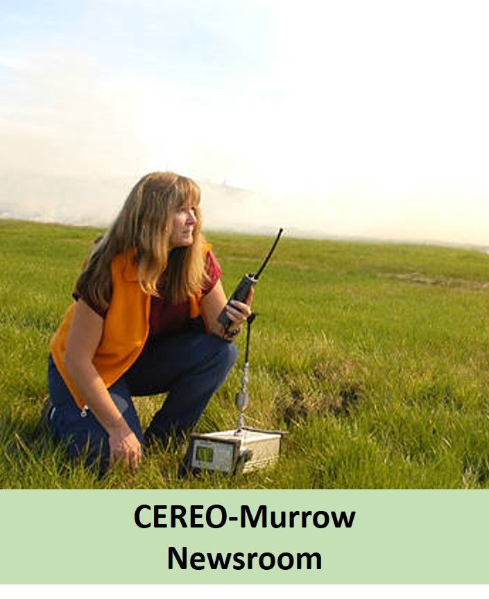 Previous Projects - CEREO