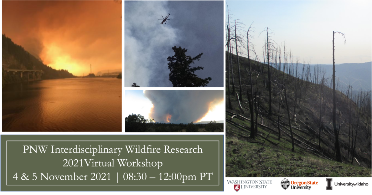Interdisciplinary Wildfire Workshop 2021 - CEREO
