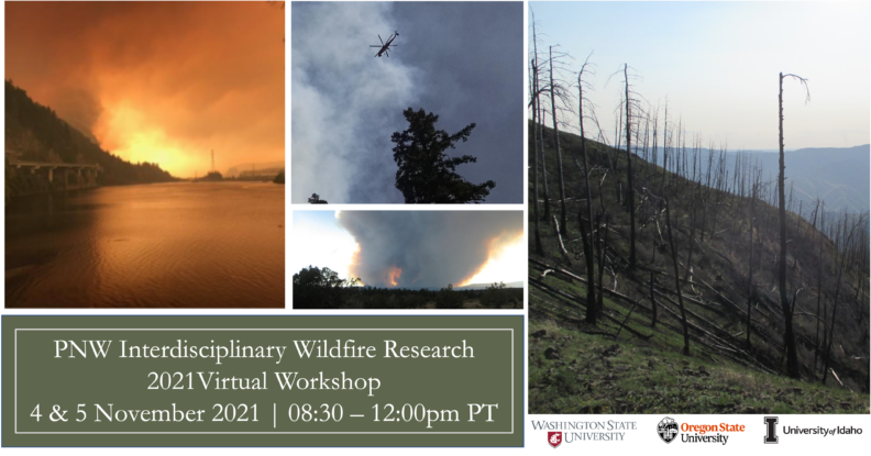 Interdisciplinary Wildfire Workshop 2021 - CEREO