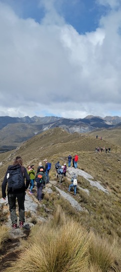 Invitation to Participate - CEREO