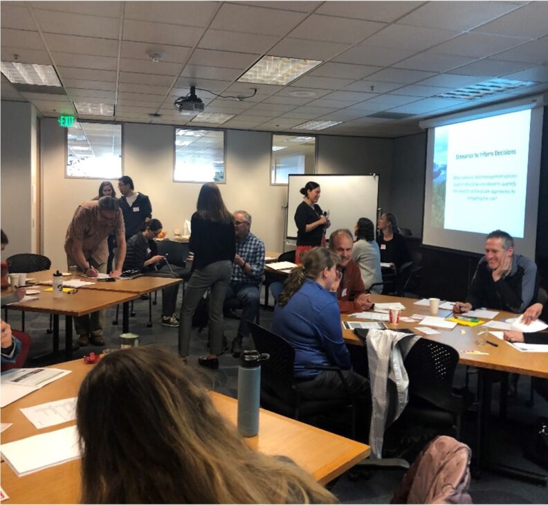 Working with CEREO - CEREO