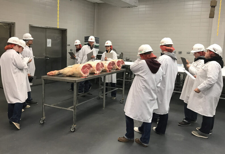Meat Science Programs | Animal Sciences | Washington State University