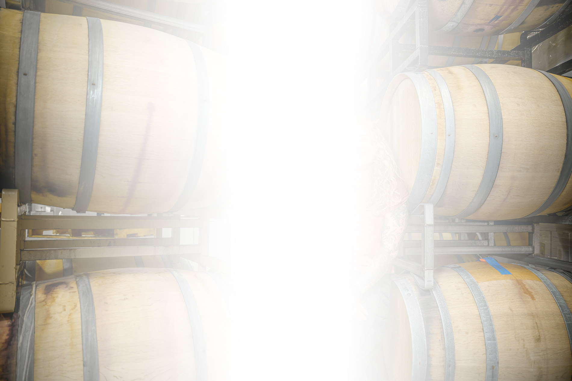 Experiencing the Perfect Blend | Go Cougs Means | Washington State ...