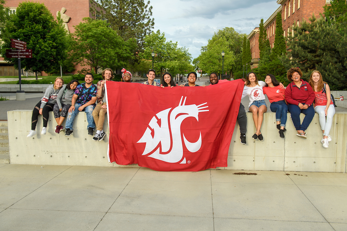 Strategic Peers | WSU System Strategic Plan | Washington State University