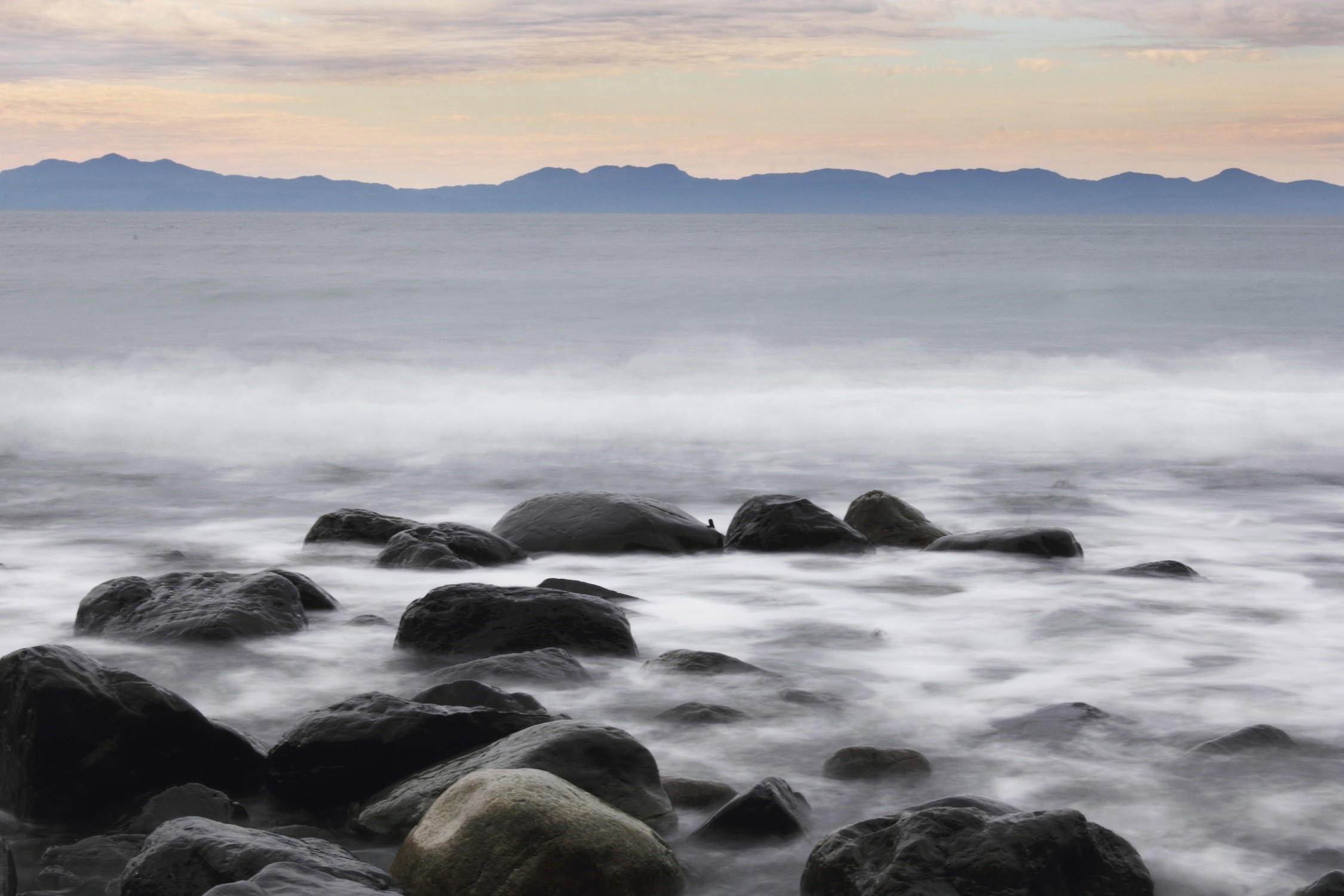 Shore Steward Guidelines | Shore Stewards | Washington State University