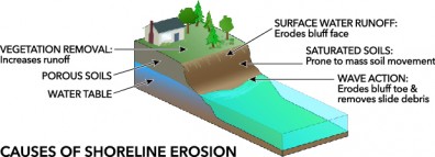 Living on Bluffs – Understanding bluff anatomy | Shore Stewards ...