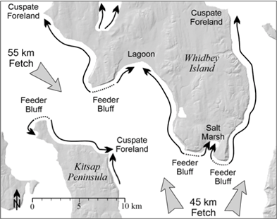 Spring 2021 edition | Shore Stewards | Washington State University