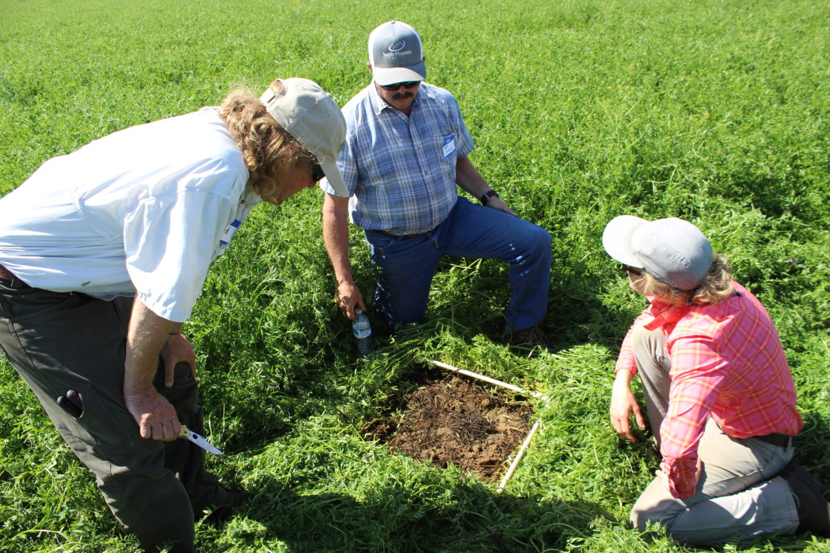 Week 3 – Evaluating Resources & Enterprise Assessment | Food Systems ...