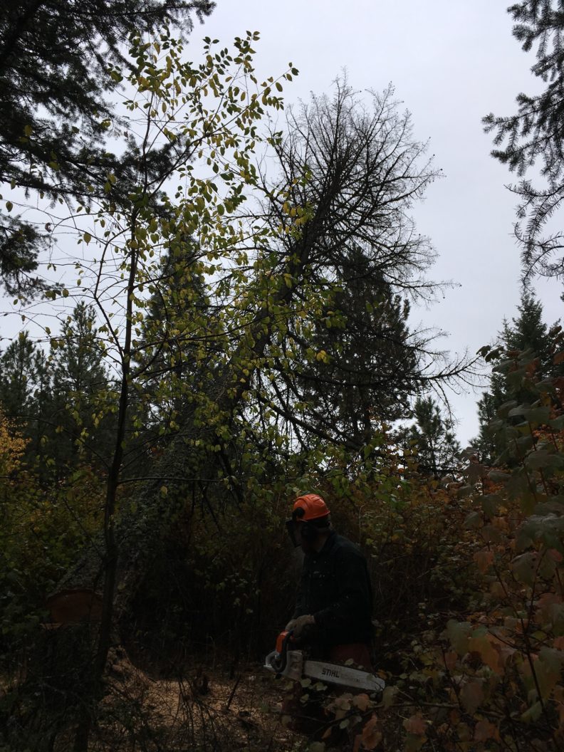 Club Corner | SoE Connections | Washington State University