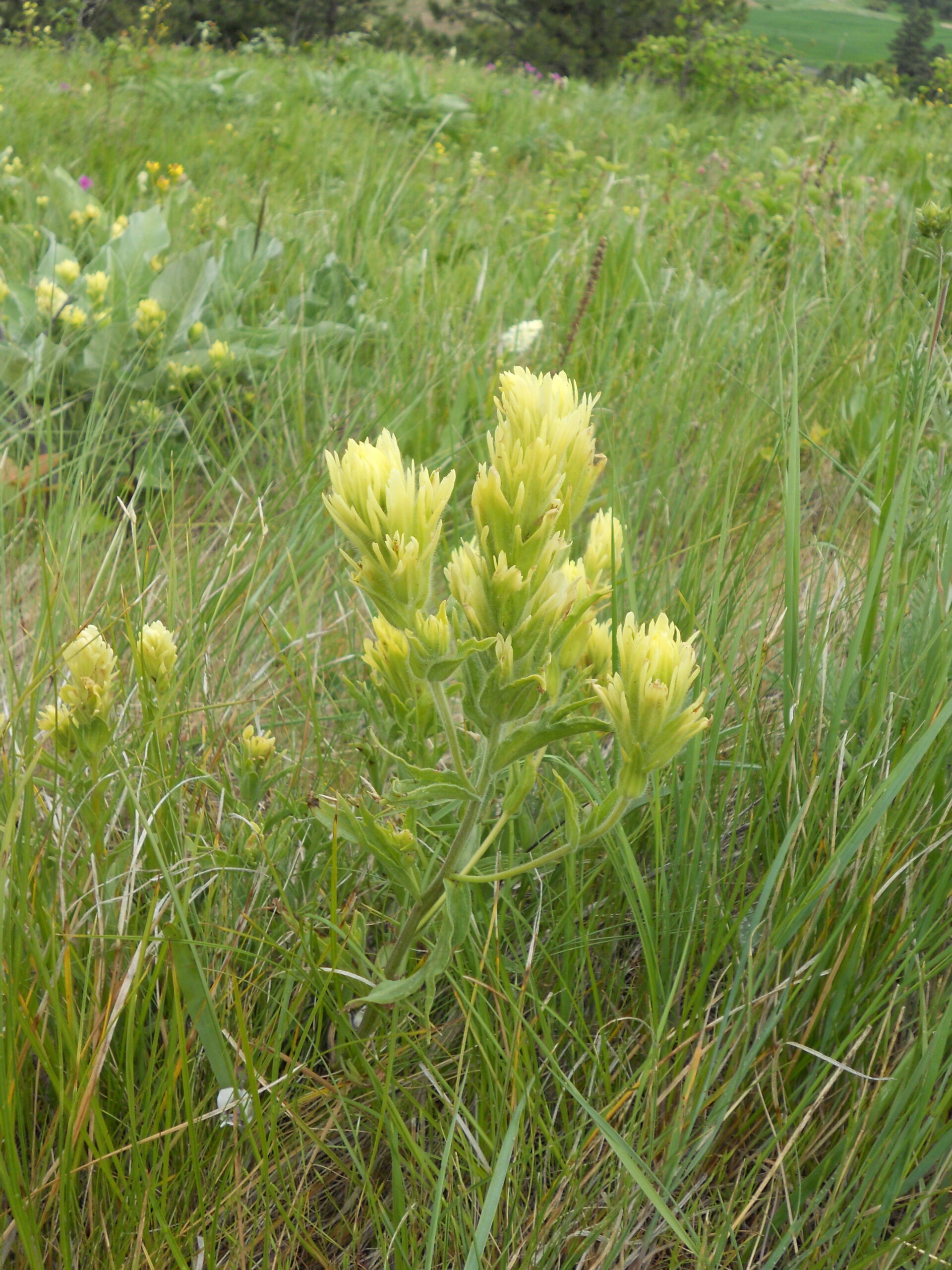Research Facilities and Centers | School of the Environment ...