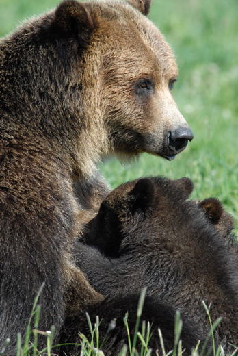 Research Facilities and Centers | School of the Environment ...