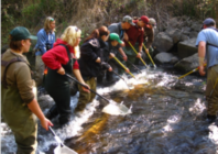 Wildlife Ecology & Conservation Sciences | School of the Environment ...