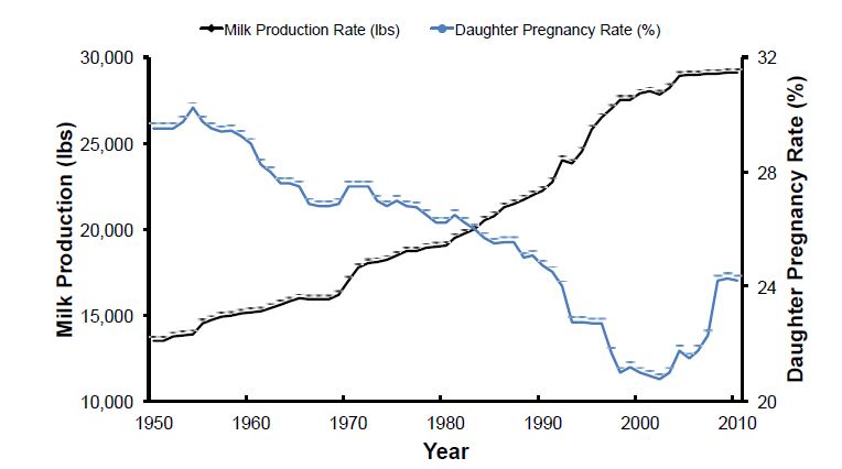 Genomic selection and reproductive efficiency in dairy cattle ...