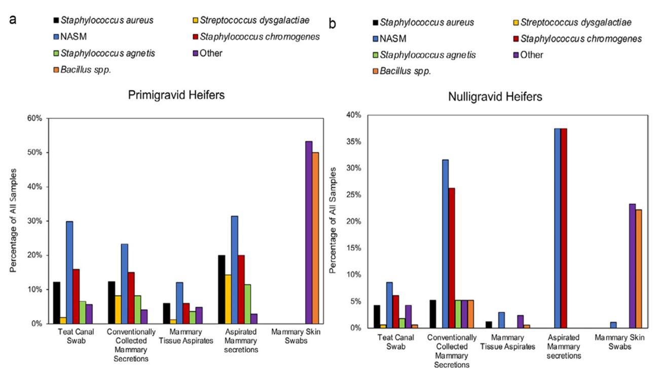 Latest developments in mastitis management | Veterinary Medicine ...