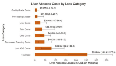 Liver Abscesses, When Dairy and Beef Square Up Against a Common Problem ...