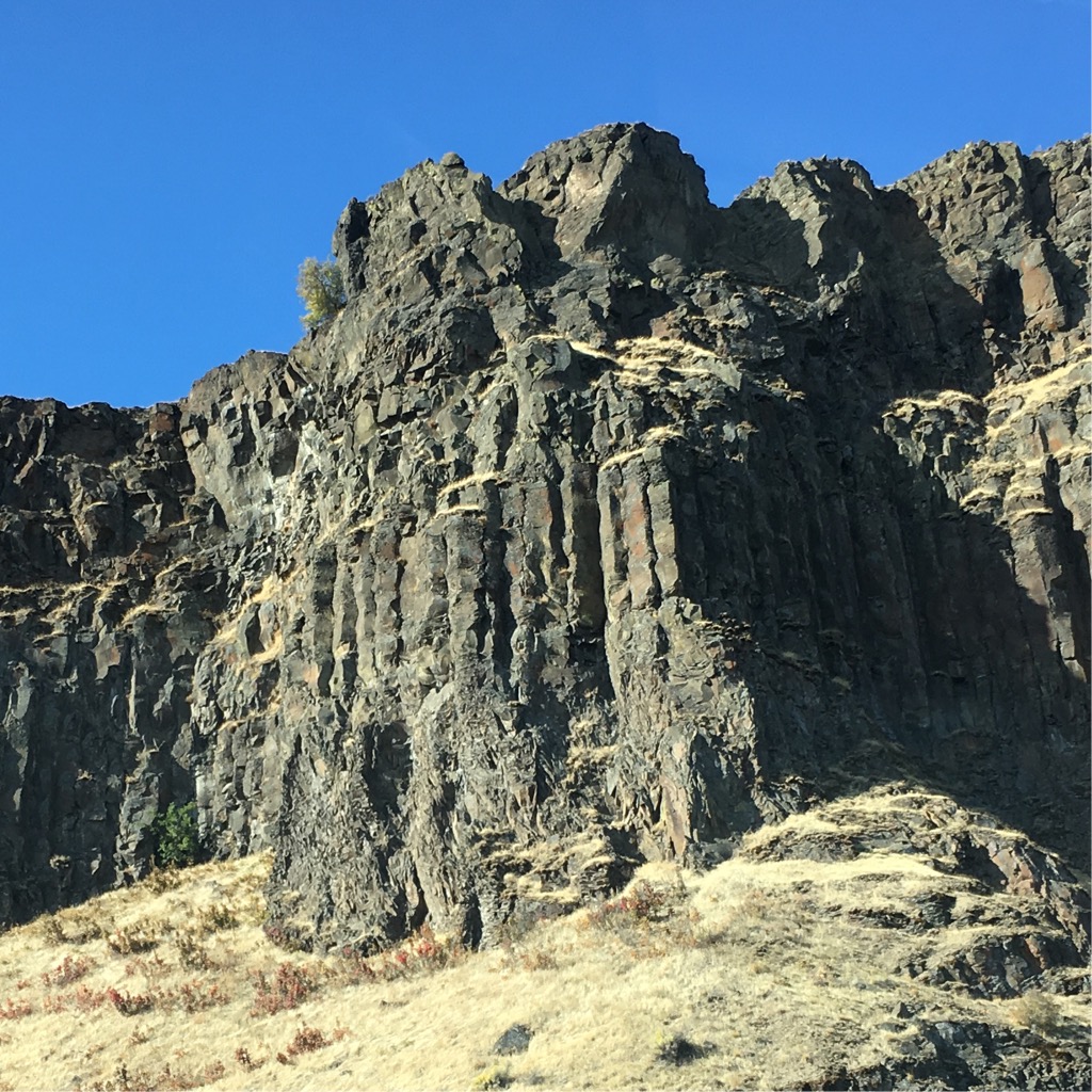 The Basalt Books Story | WSU Press | Washington State University