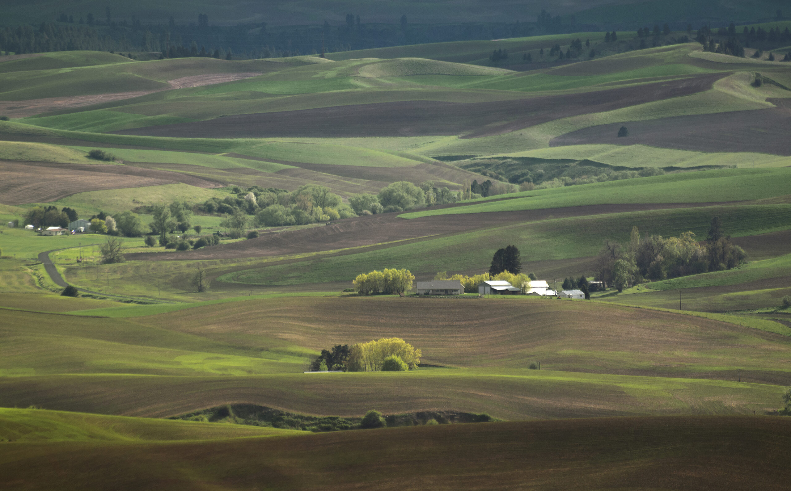 A celebration of Palouse Country history and beauty | WSU Press ...